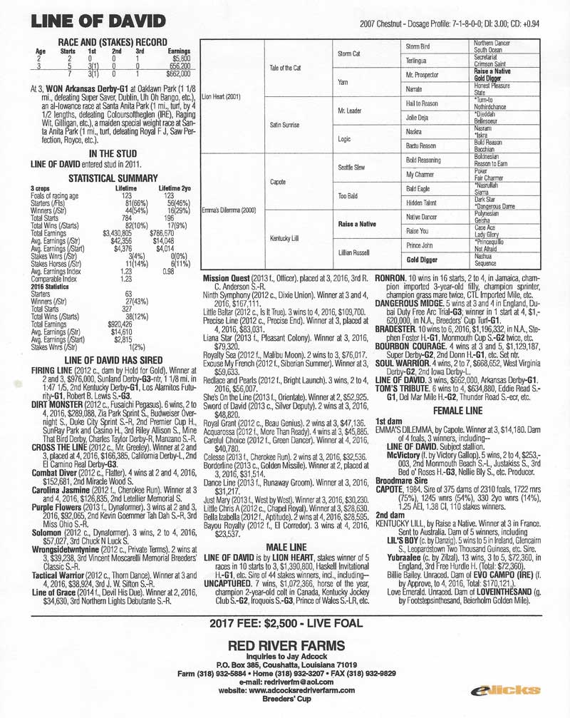 Line of David Thoroughbred Stallion Louisiana Red River Farms